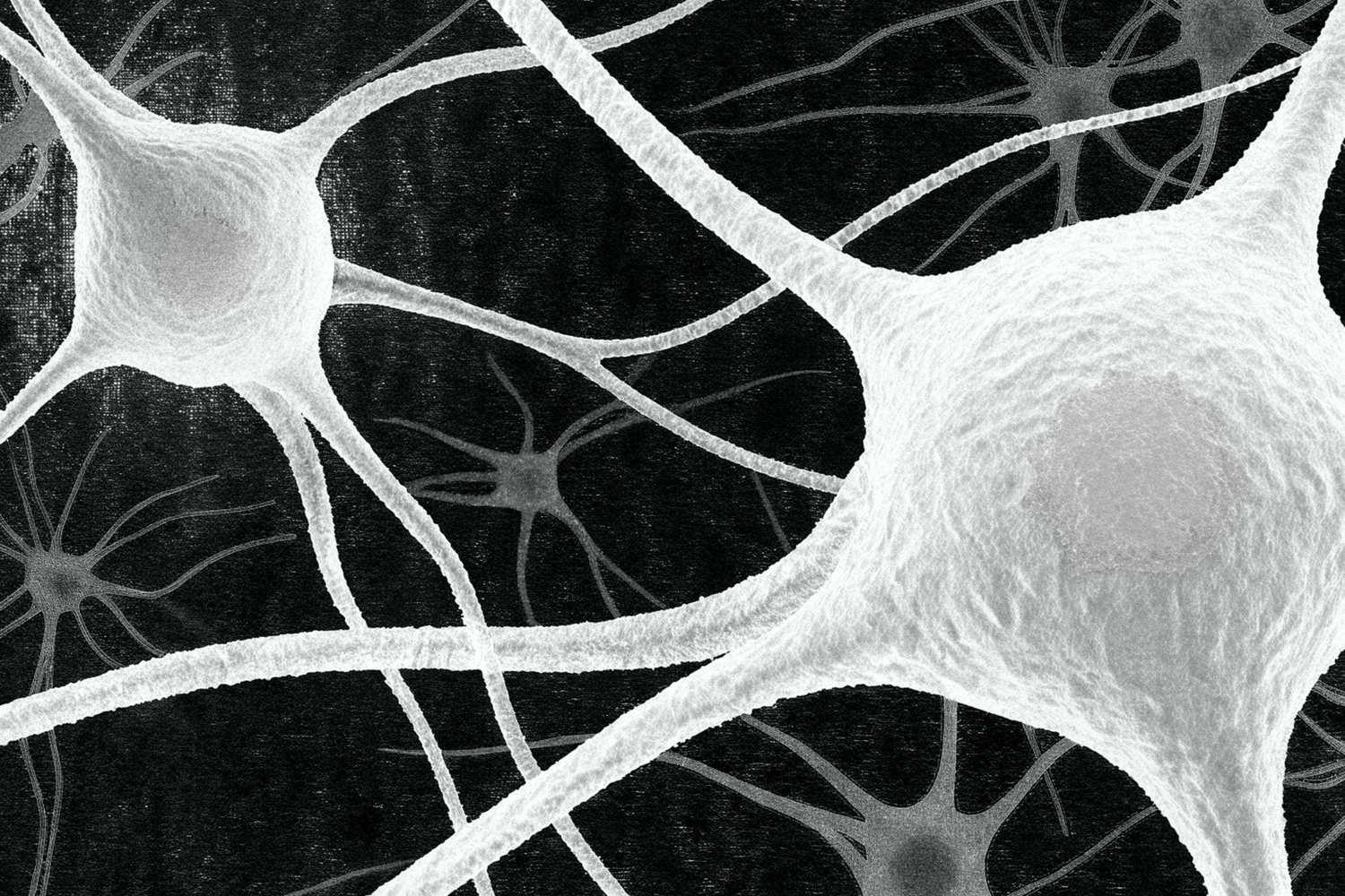 Spiking neural network - avrtt.blog