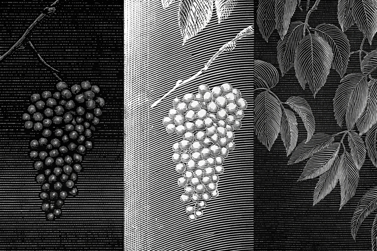 Classification metrics - avrtt.blog