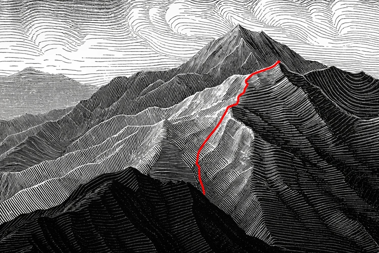 Gradient optimization - avrtt.blog